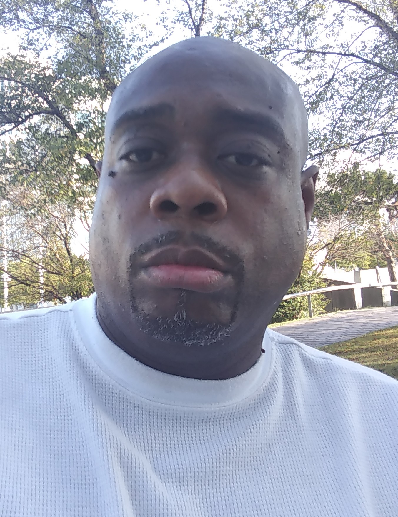 Driven to Despair: How Minor Offenses are Filling Michigan's Jails ...